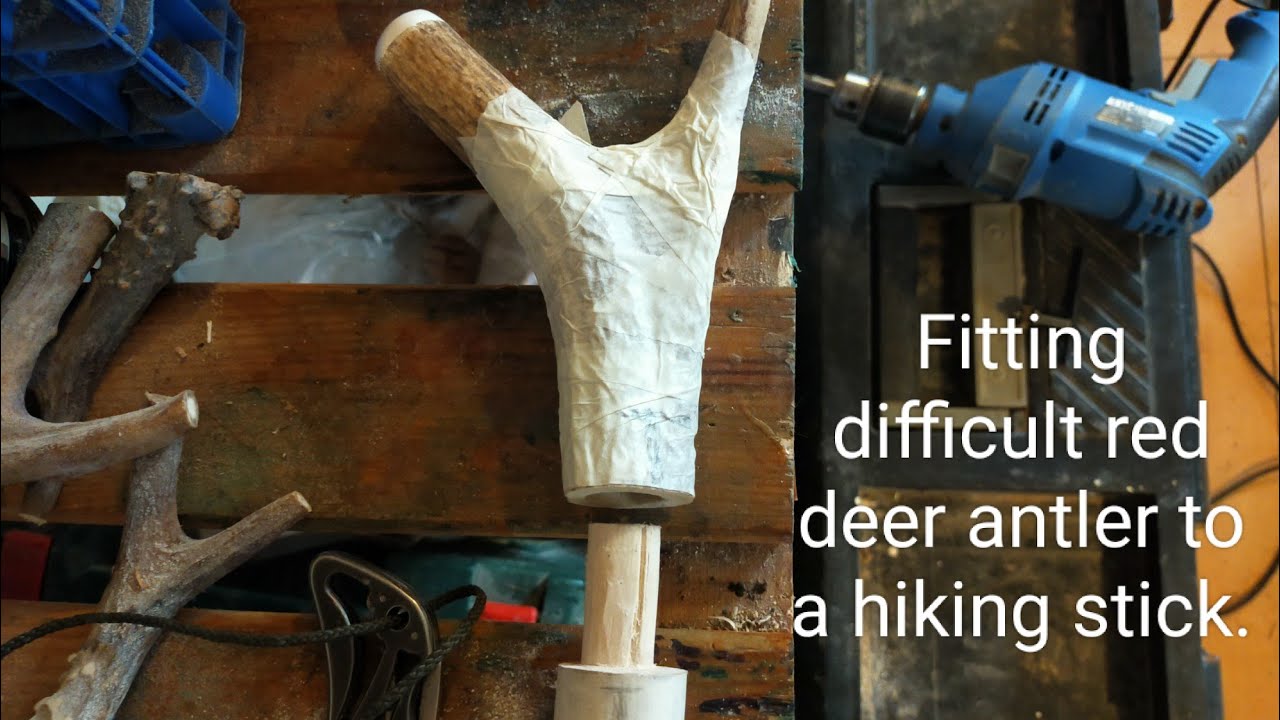 How to fit difficult red deer antler to a hiking stick.Tips from a ...