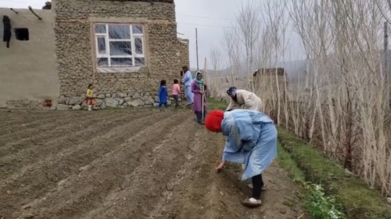 The Beginning of Spring and The Beginning of Peasant Work and Cooking Delicious Afghanistan Food ...