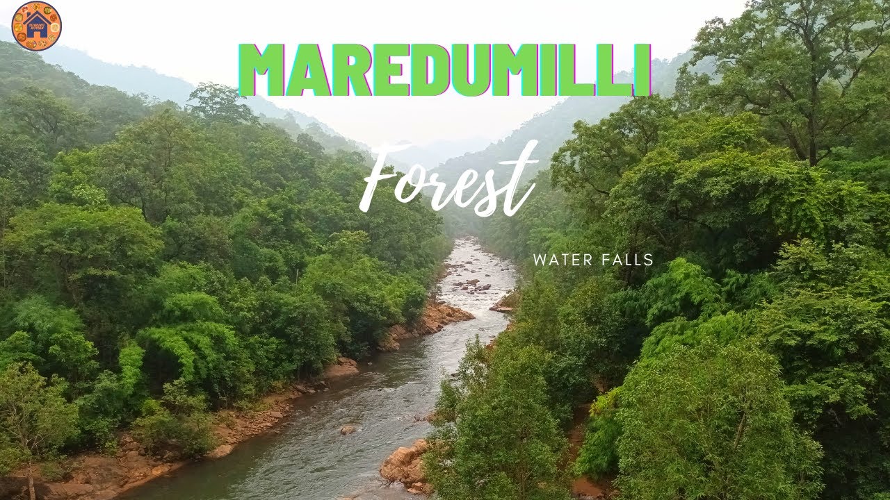 Maredumilli Waterfalls || Teluginti kitchen || Maredumilli forest - YouTube