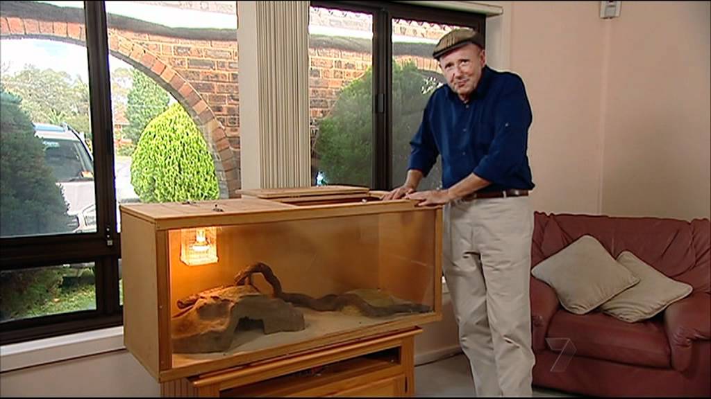 Childrens Python, Better Homes & Gardens segment - YouTube