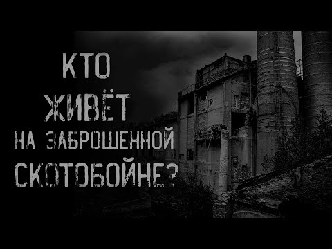 страшные истории - КТО ЖИВЁТ НА ЗАБРОШЕННОЙ СКОТОБОЙНЕ | ужасы | мистика