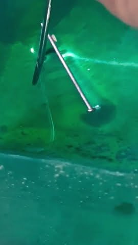 Surface tension helps a needle to float on water Surface - YouTube