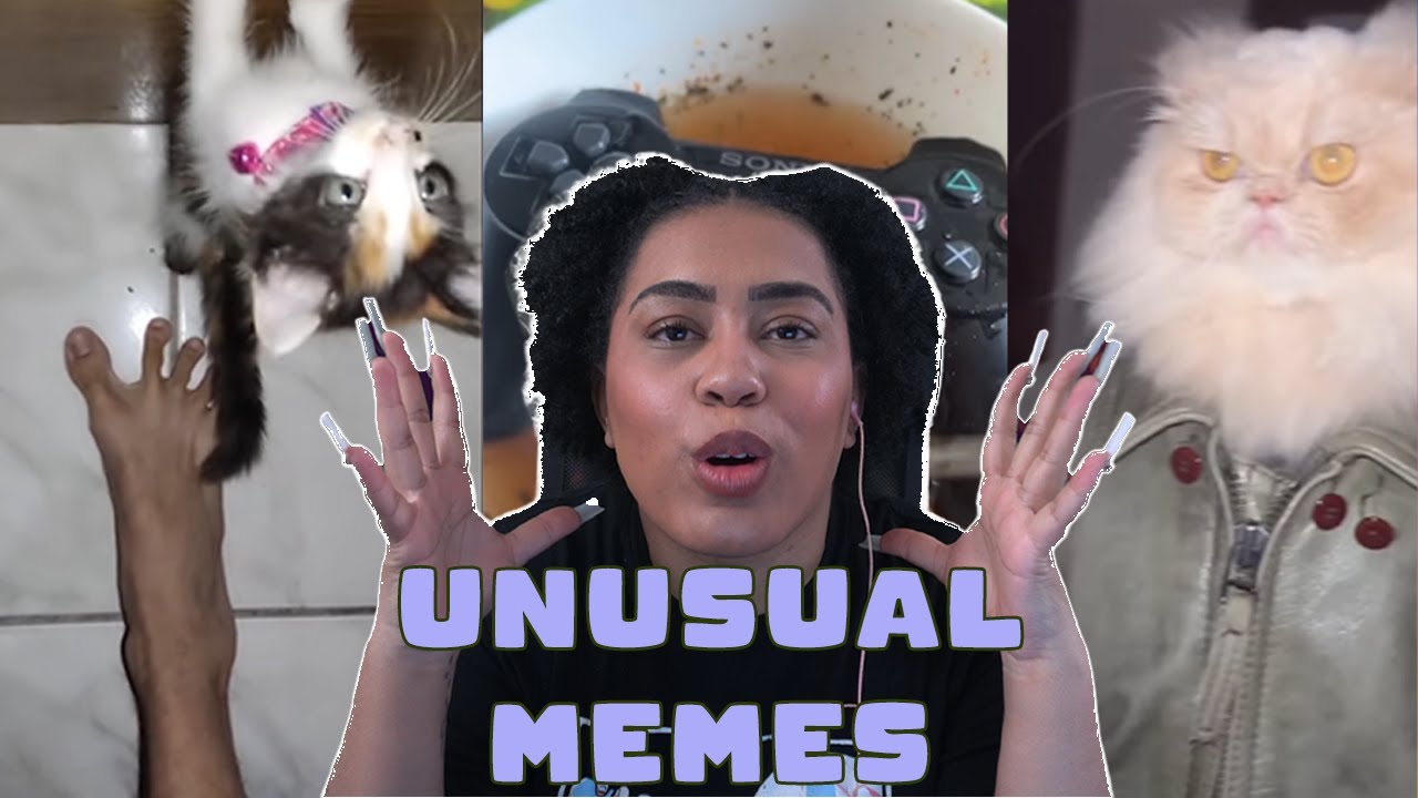 Completely Safe Unusual Memes, Vol. 6 - YouTube