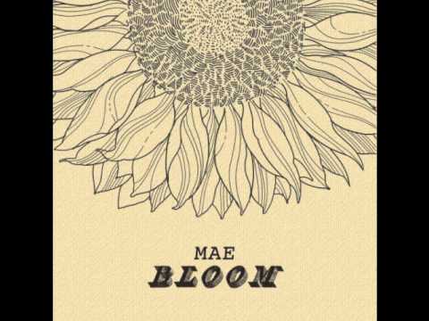 Mae Fan Club | Fansite with photos, videos, and more