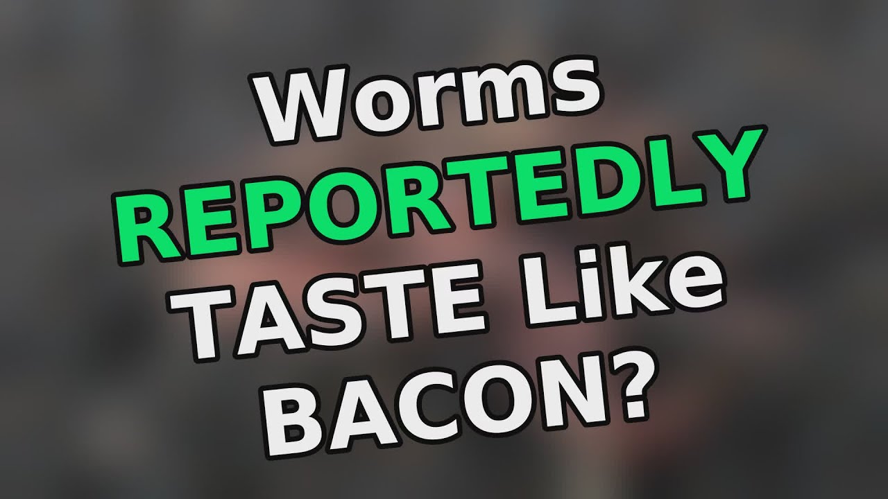 Worms reportedly taste like bacon? | Wacky Facts - YouTube