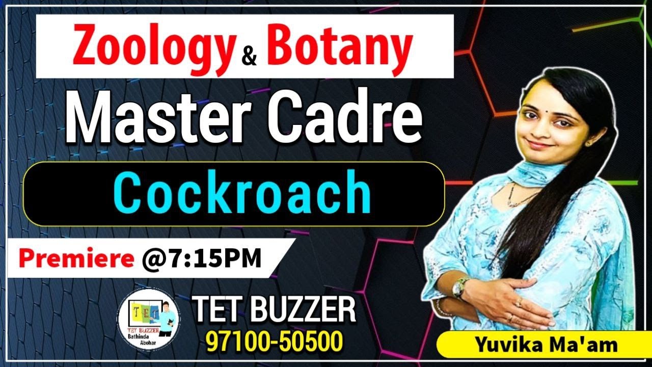 Master Cadre Punjab | Zoology & Botany | Cockroach | TET BUZZER - YouTube