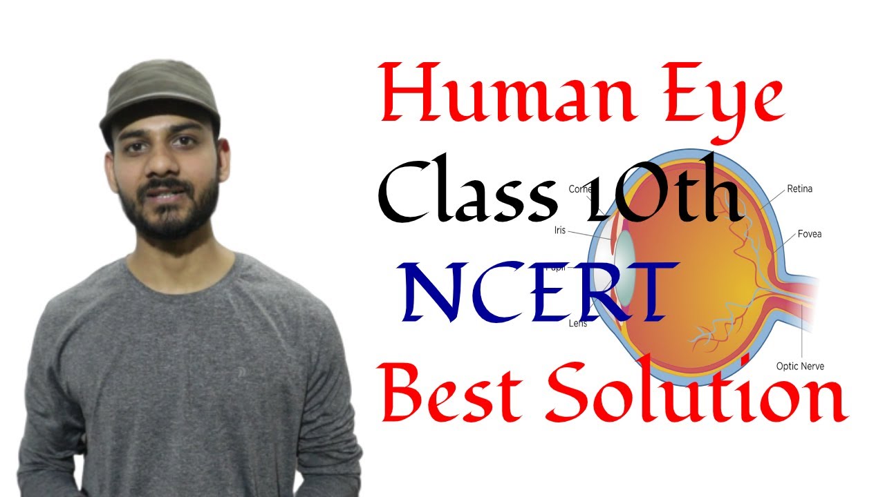 human-eye-class-10th-ncert-best-solution-in-text-exercise-ashish
