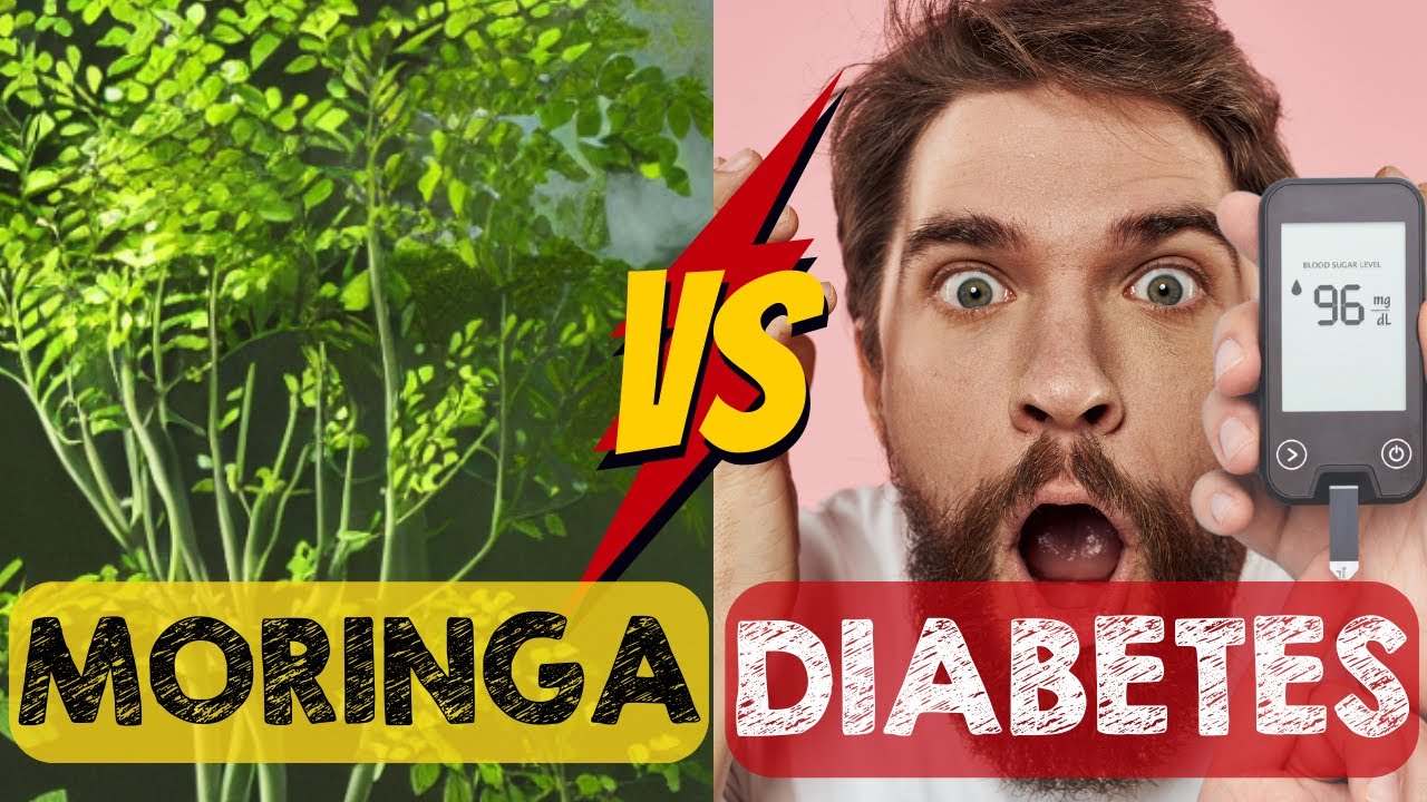 "Moringa vs. Diabetes: The Battle for Better Blood Sugar Management ...