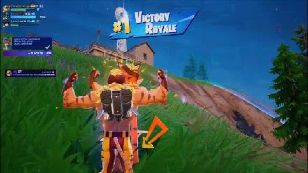 FORTNITE *NEW* MEOWTOOTH Gameplay VICTORY ROYALE - YouTube