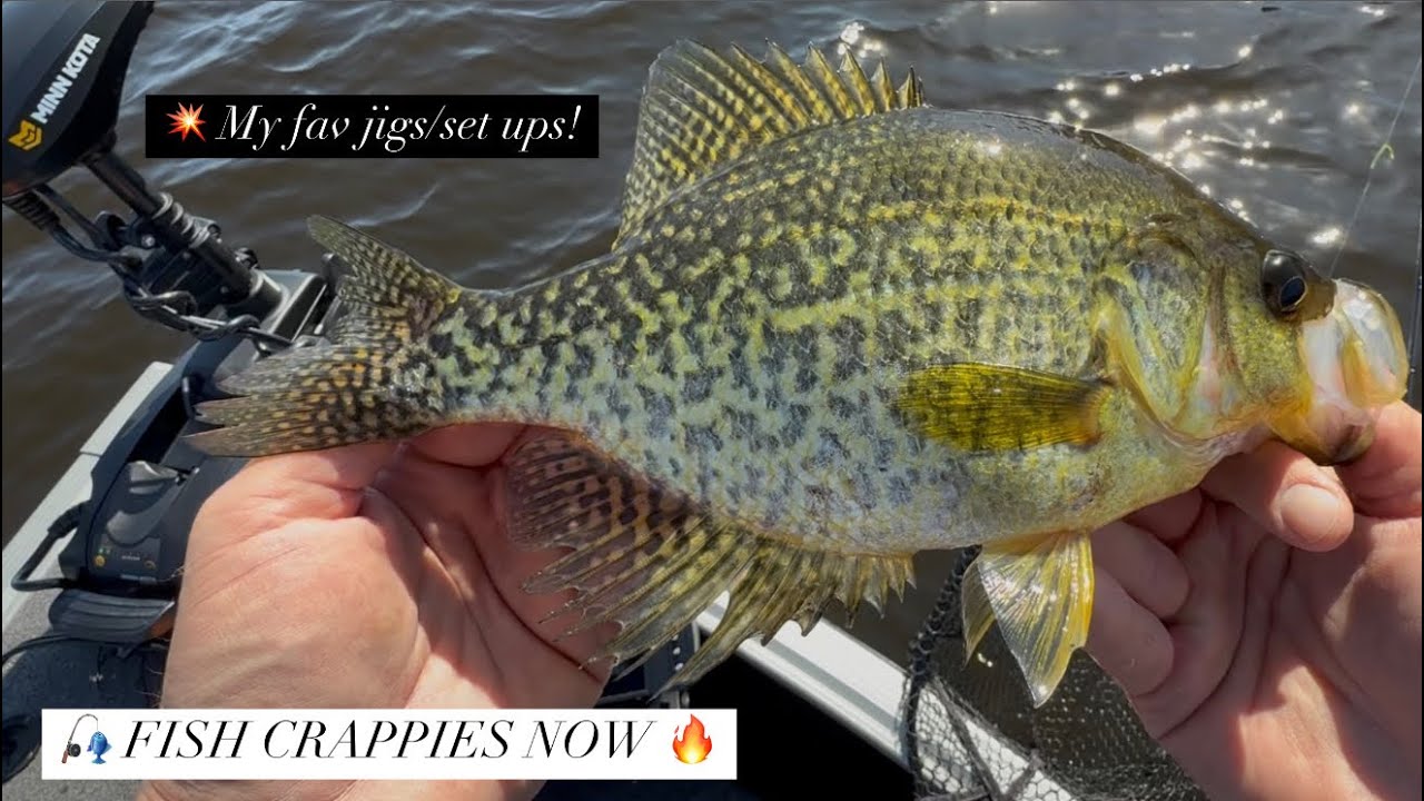 Tips for CRAPPIE Fishing NOW!!! (MY favorite panfish set ups/jigs for ...