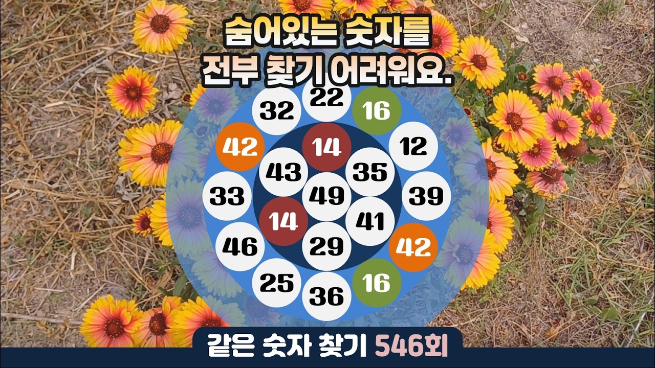 같은숫자찾기 546회 숨어있는 숫자를 전부 찾기 어려워요 같은숫자찾기 퀴즈 치매예방퀴즈 두뇌활성화 Number
