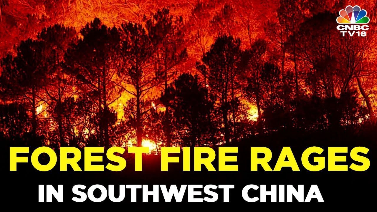 China Forest Fire: Wind Speed Aggravates Damage | IN18V | CNBC TV18 ...