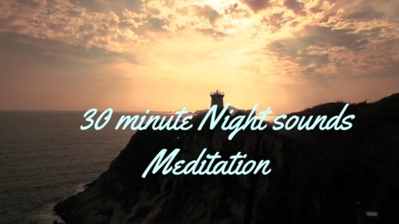 Night Time Sounds Crickets, Cicadas, Owls, Rain forest Sounds | Sleep ...