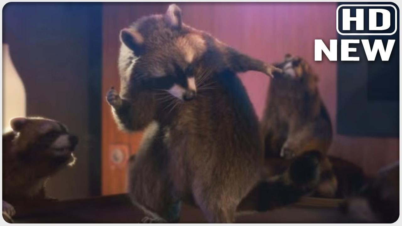 Crazy racoons dance party! - YouTube