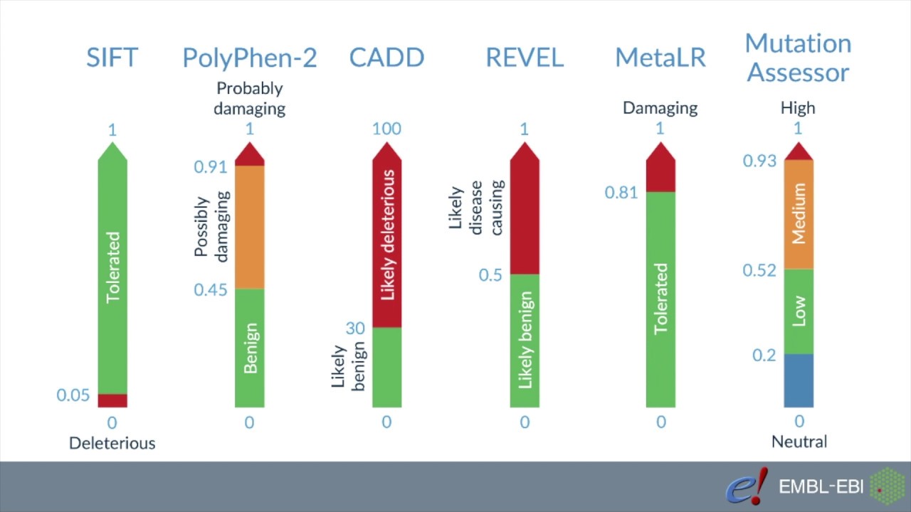 Introduction to the Ensembl Genome Browser - Webinar Series (2020 ...