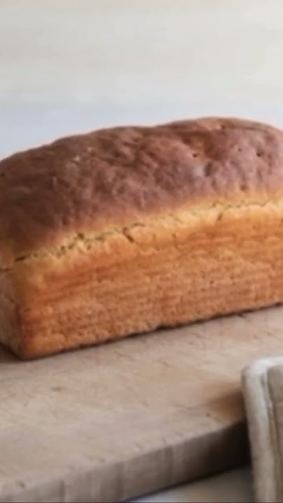 Illuminati Confirmed👀👀#cat #bread - YouTube