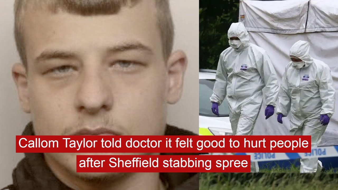 19 year old Callom Taylor told doctor it feels good to hurt people ...
