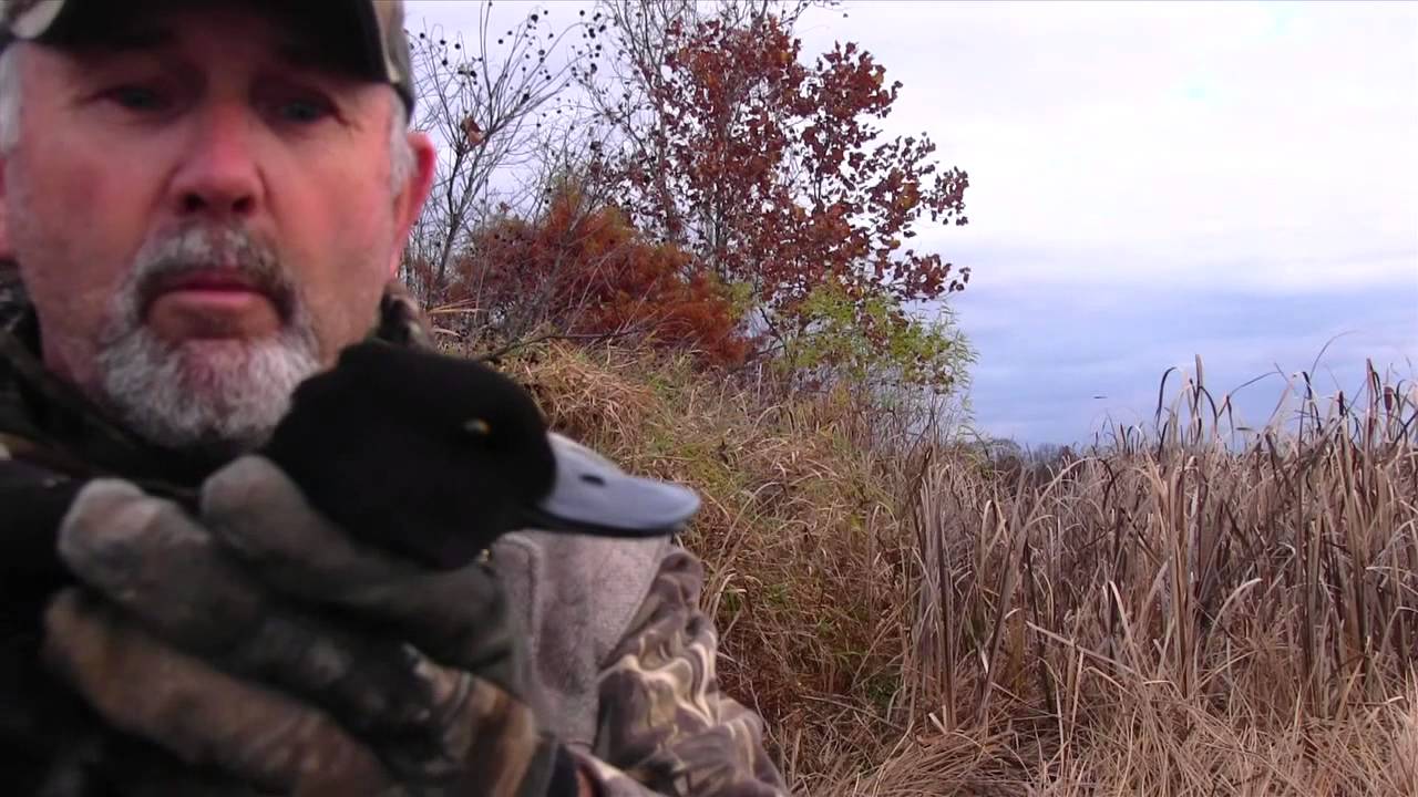 DUCK HUNTING BASICS HD 720p - YouTube