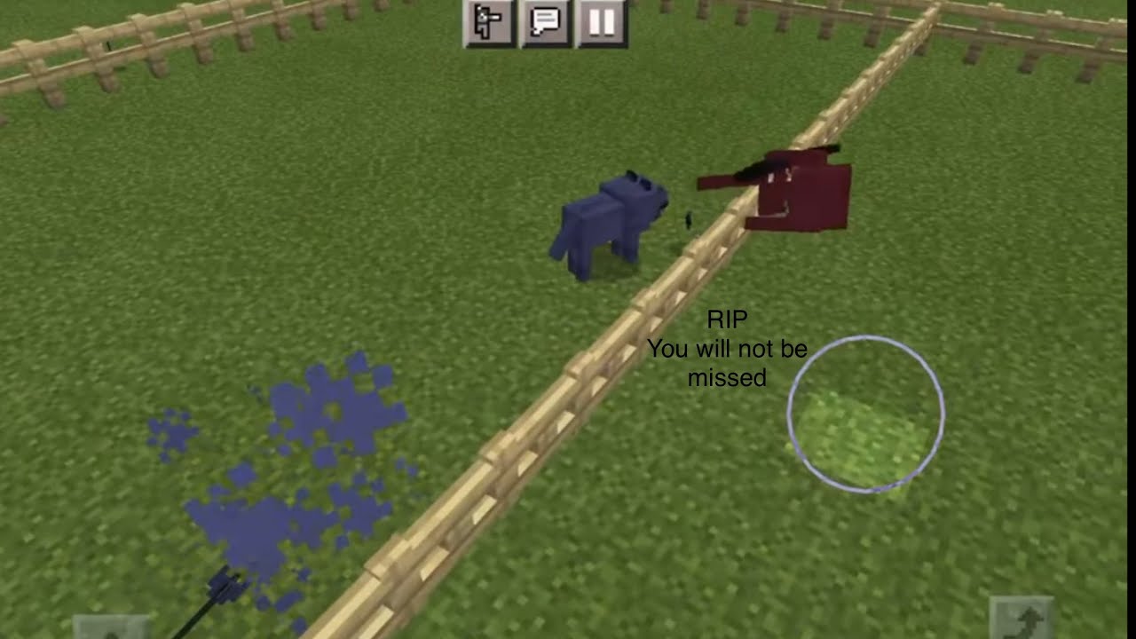 Wolf vs wither skeleton and skeleton - YouTube