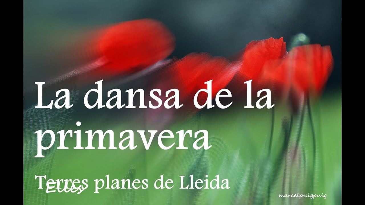 LLEIDA - LA DANSA DE LA PRIMAVERA - YouTube