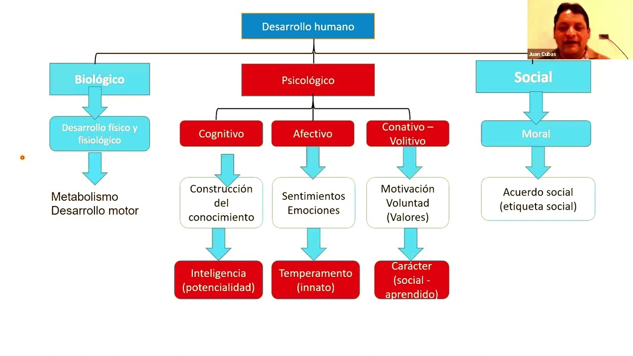 Desarrollo humano biológico, psicológico y social 💓😀💓 - YouTube