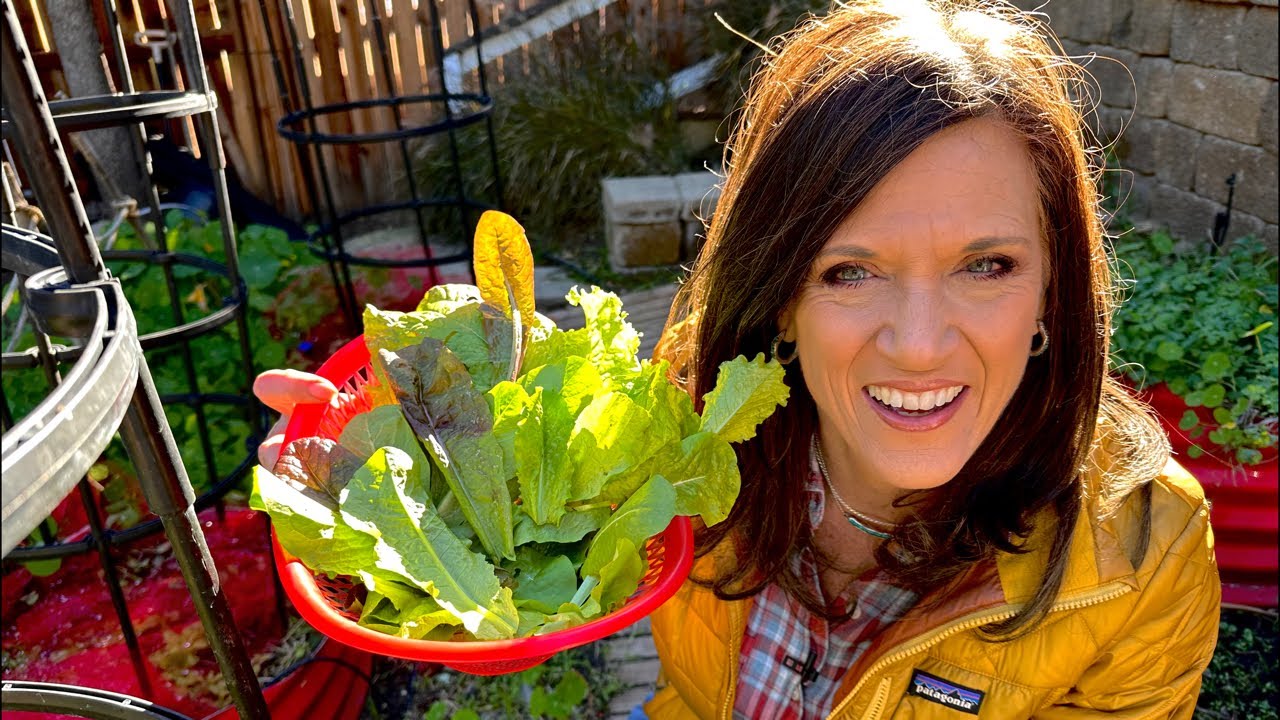 🍅LIVE: Tiny Garden, Tasty Harvest: Small Space Vegetable Growing Tips (REPLAY) - YouTube