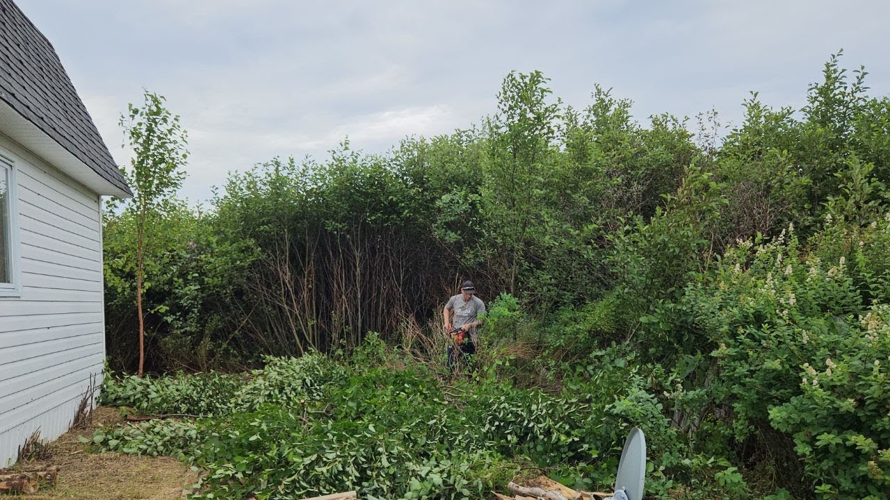 Garden Prep | Stage Two. Land Clearing | Removing all trees & bushes ...