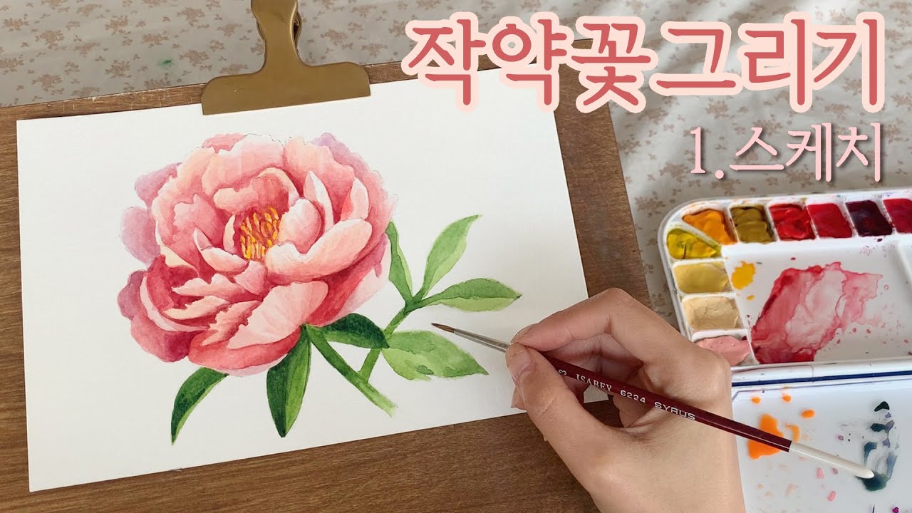 초보자를 위한 작약꽃 수채화스케치 Youtube