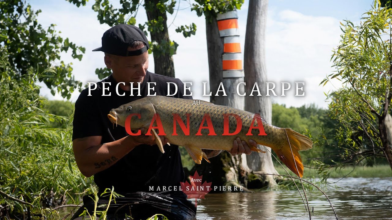 Peche de la carpe au Canada 3/3 - Direction le lac Saint Pierre - YouTube