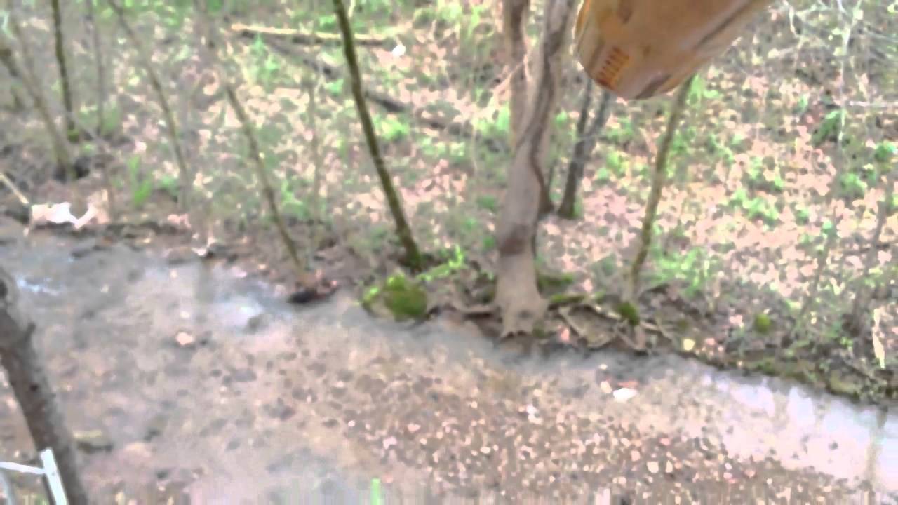 Aloha DM10 - YouTube