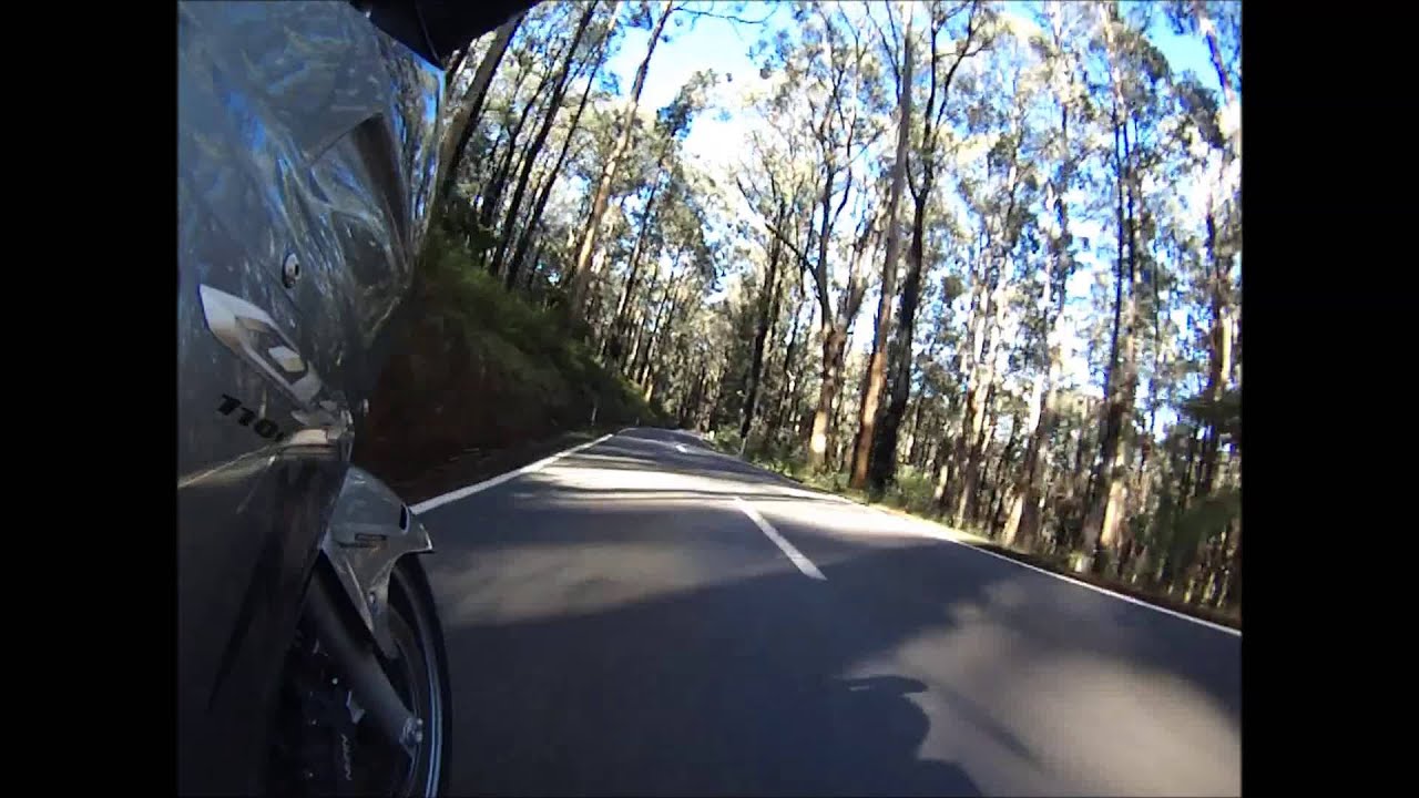 Toolangi State Forest, Victoria, Australia - YouTube