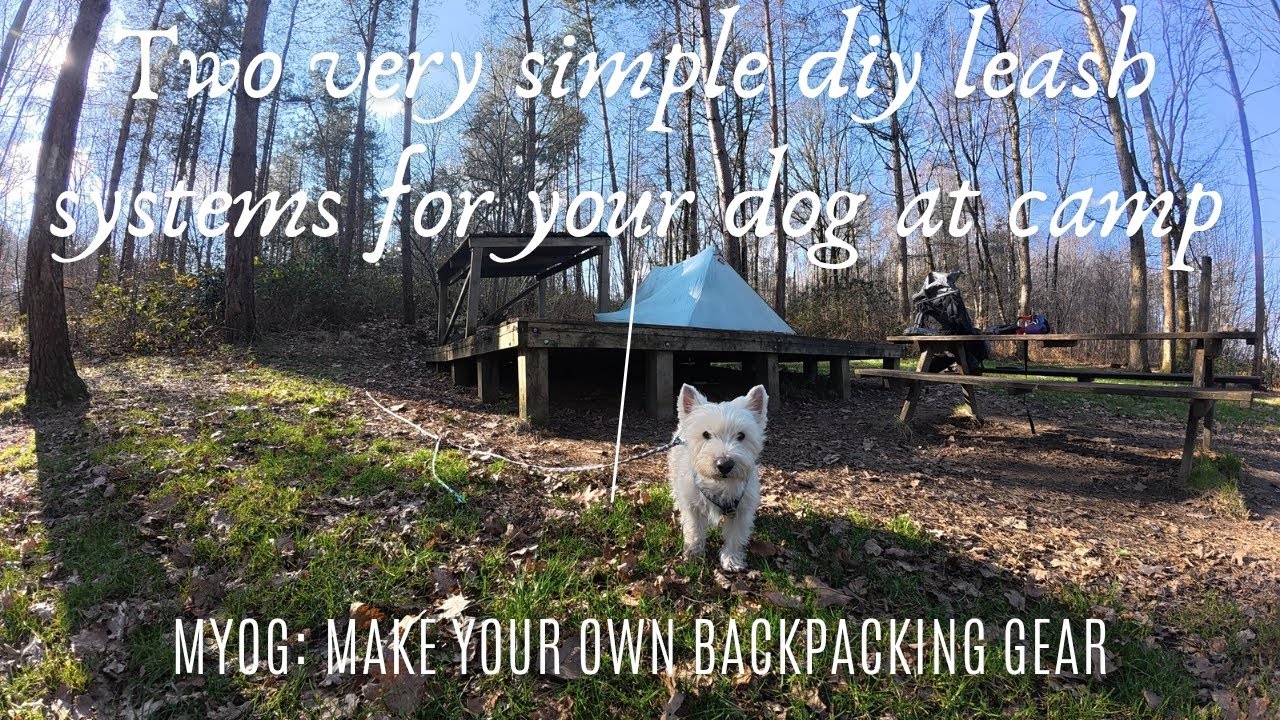 MYOG backpacking gear: two very simple DIY leash systems for your dog 🐾 ...