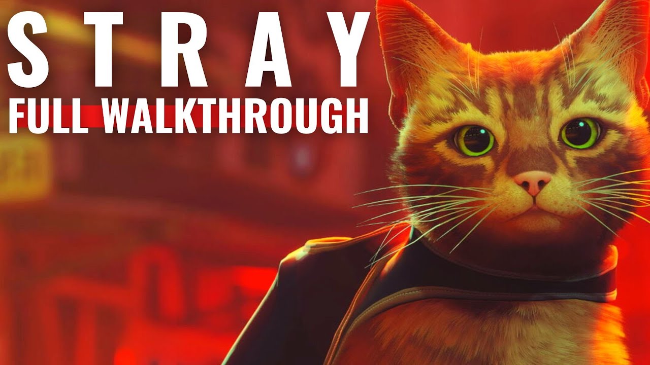 STRAY - FULL WALKTHROUGH - No Commentary Gameplay 4K - YouTube