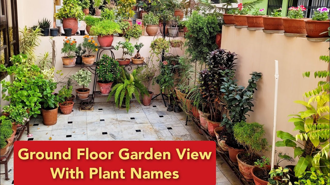 Ground floor garden overview november with plants names - YouTube