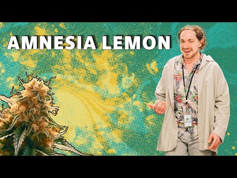 Amnesia Lemon is the GOAT! - YouTube