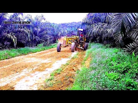 change the slope of the main Road di perkebunan kelapa sawit ||MOTOR ...
