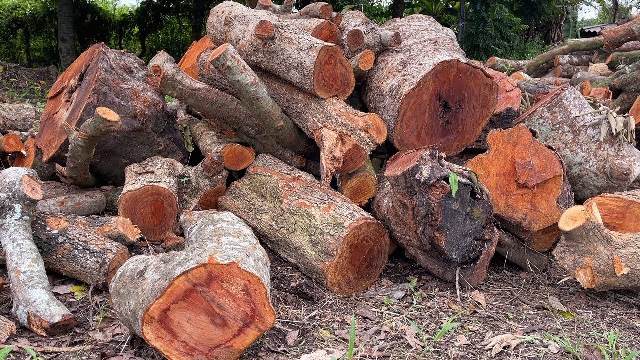 Build A Spectacular And Impressive Table From A Tree Trunk To Help ...