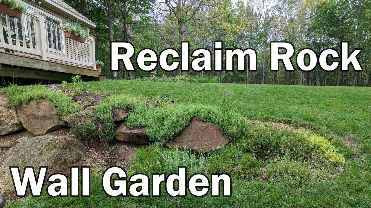 Rock Wall Garden🌷Beautifying It! 👍 - YouTube