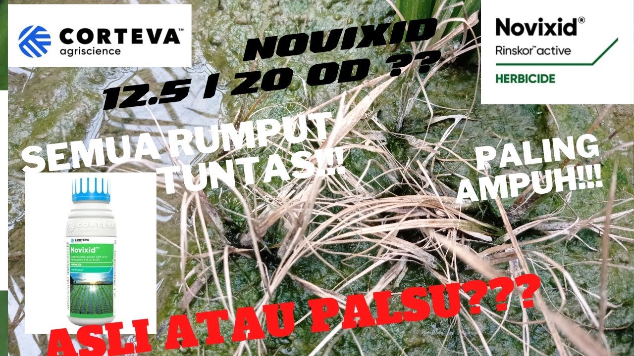 Manfaat dan Cara Aplikasi NOVIXID 12.5/20 OD - Semua Rumput Tuntas ...