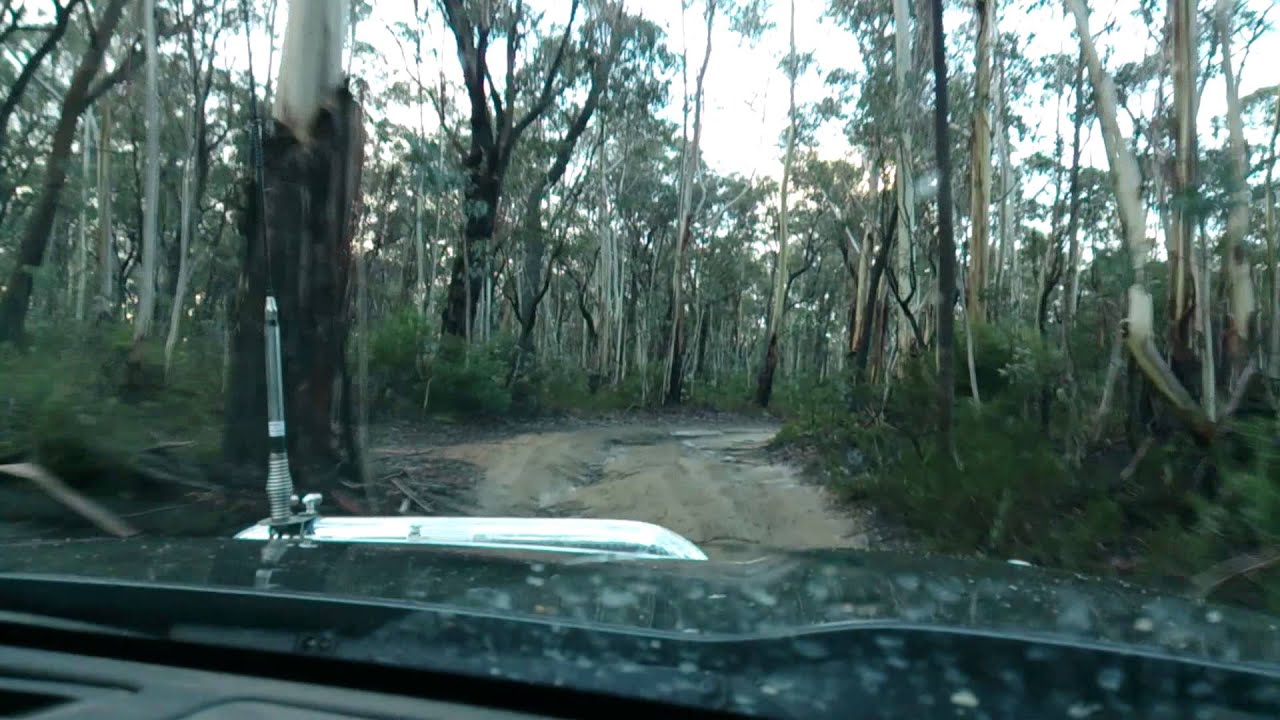 Track to the Lost City, Newnes State Forest - YouTube