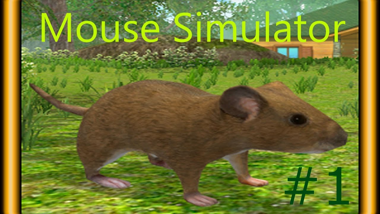 Mouse Simulator (#1) - YouTube