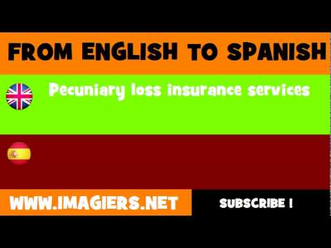 FROM ENGLISH TO SPANISH = Pecuniary loss insurance services - YouTube