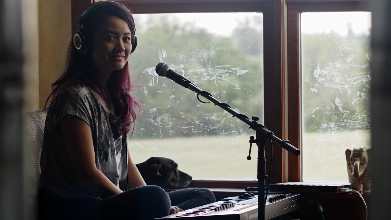 the sheep are on the move again... (Corporation Disco Party by Kawehi ...