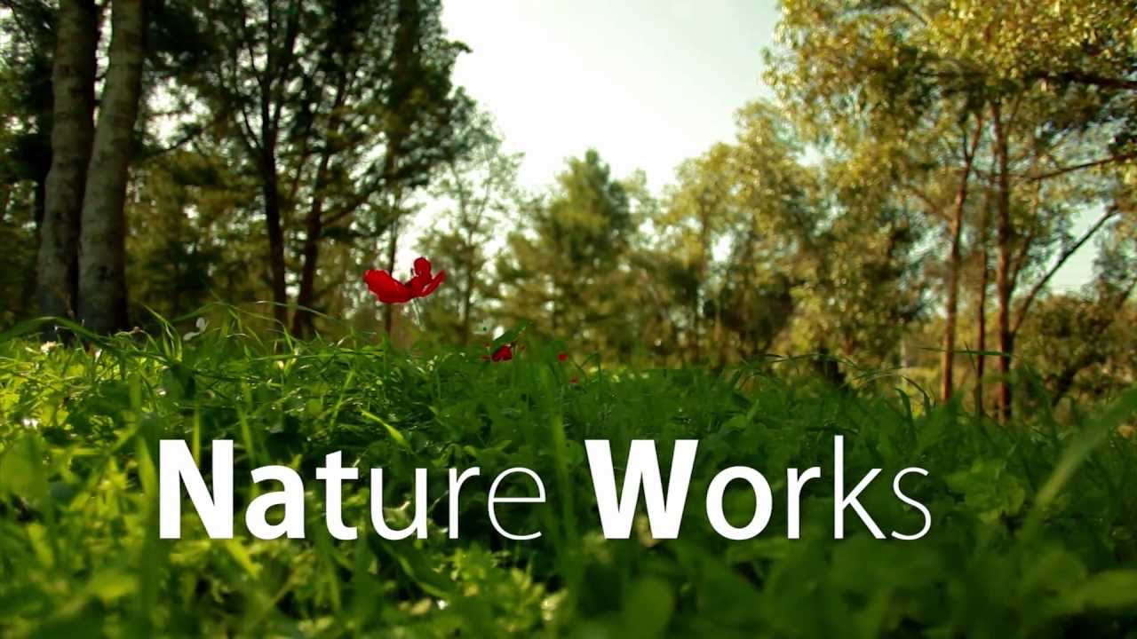 DE120_NatureWorks_Trabe - YouTube