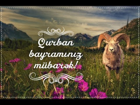 Qurban Bayramınız Mübarək!