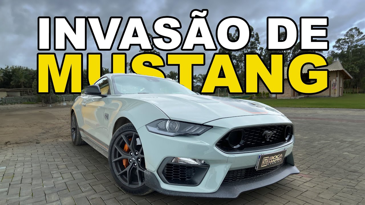 O MAIOR encontro de MUSTANG do sul do país!! - YouTube