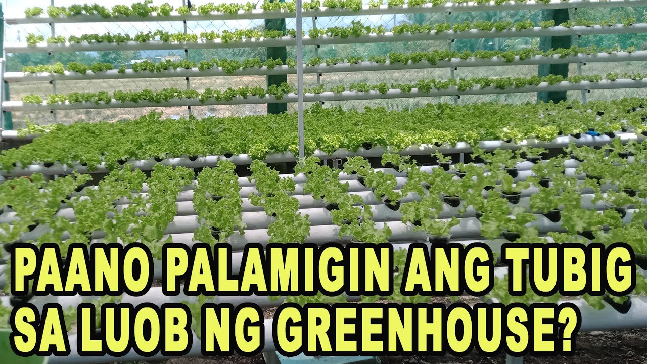Hydroponic Greenhouse Farm Design - Paano Palamigin Ang Tubig Sa Luob ...