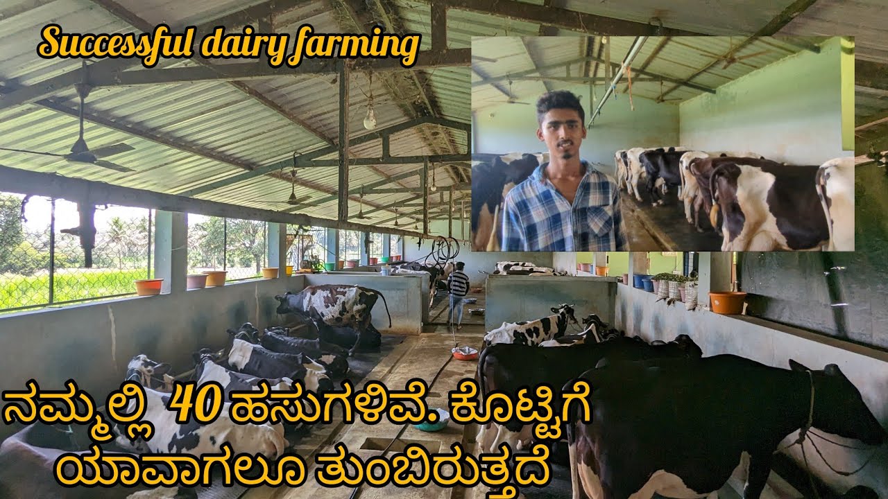 Successful Dairy Farming kannada Arkere YouTube successful-dairy-farming-kannada-arkere-youtube