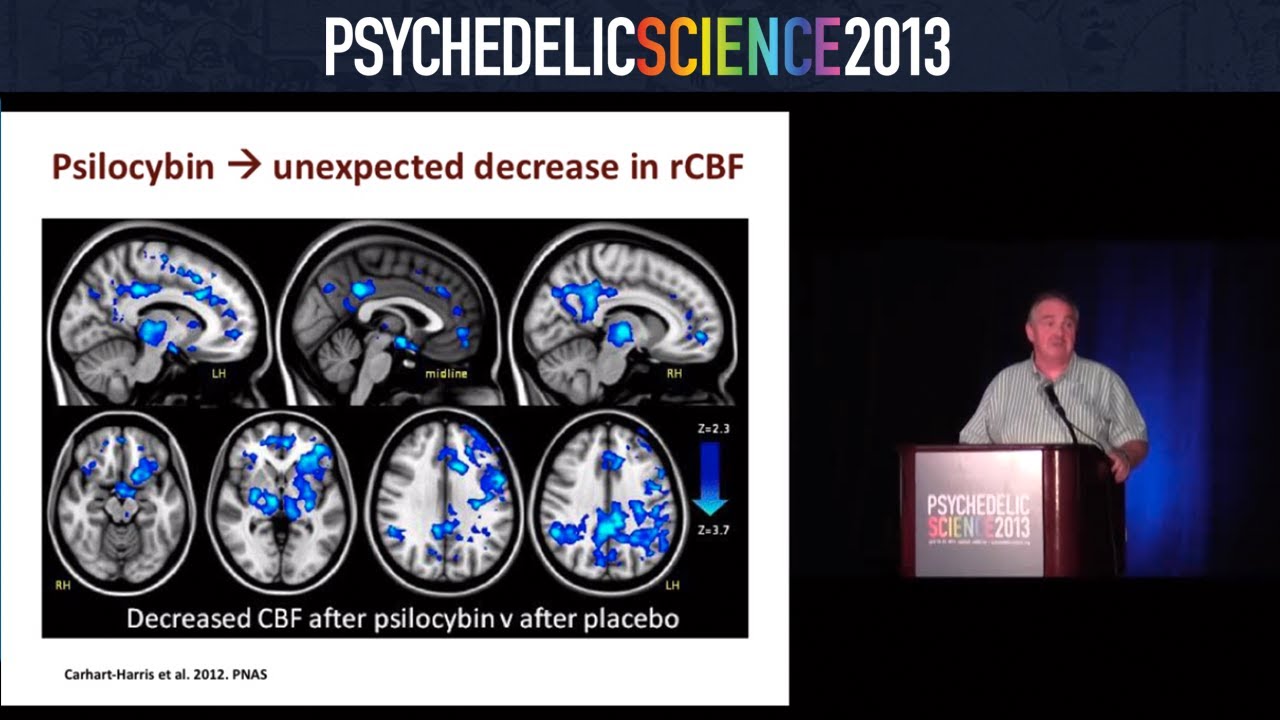 The Beckley-Imperial Psychedelic Research Program - David Nutt - YouTube