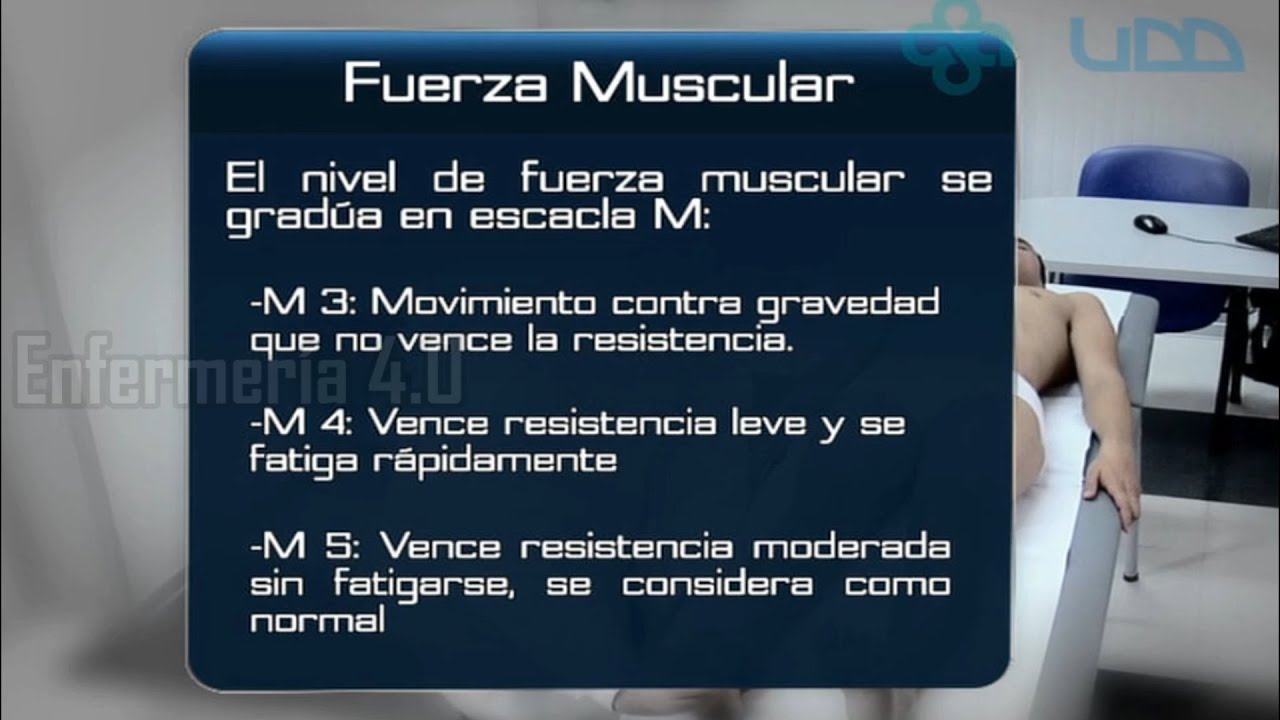 🌟EXAMEN MOTOR | EXAMEN DE LOS GRUPOS MUSCULARES EN CONTRARRESISTENCIA🌟 ...
